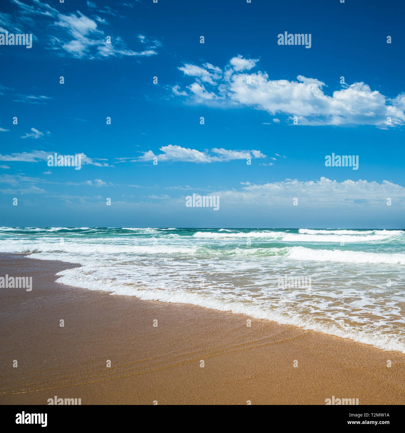 Yellow sand beach, sea and deep blue sky Stock Photo - Alamy