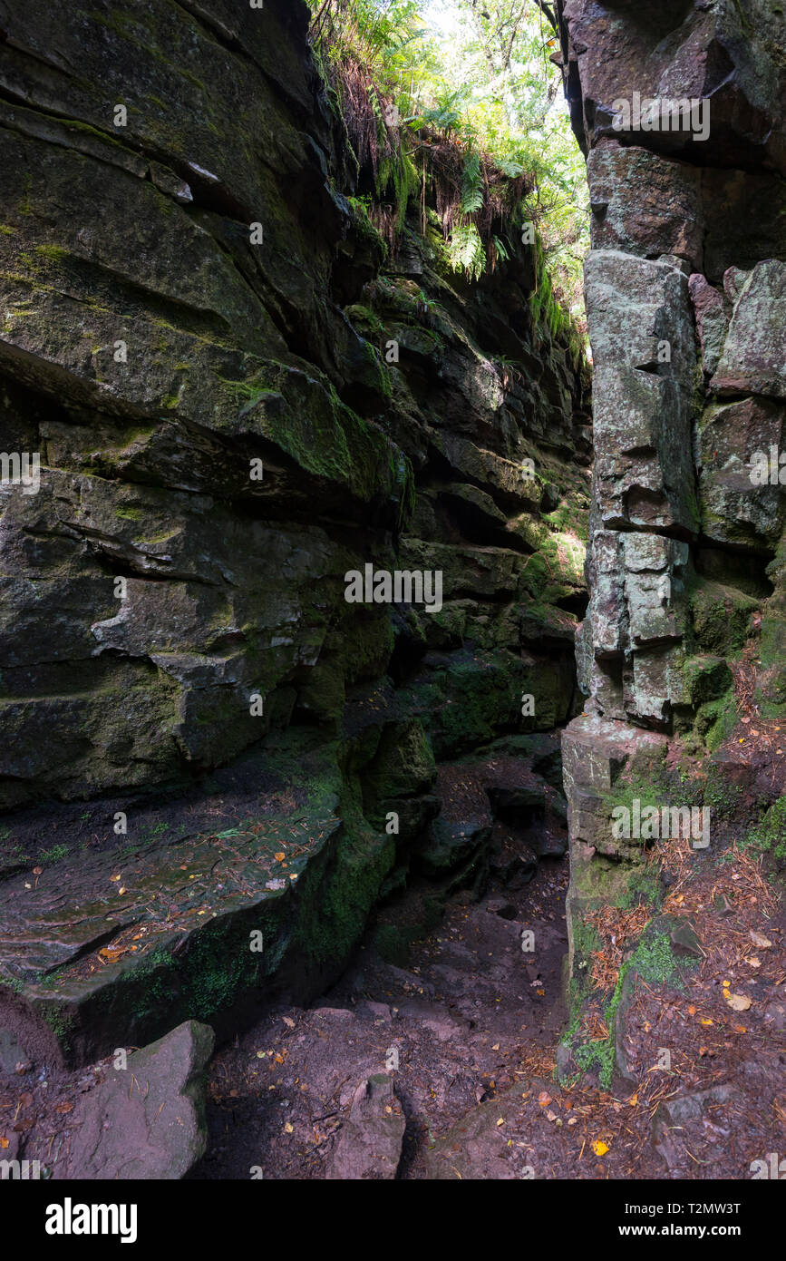 The mysterious rocky chasm of Luds Church near Gradbach in ...