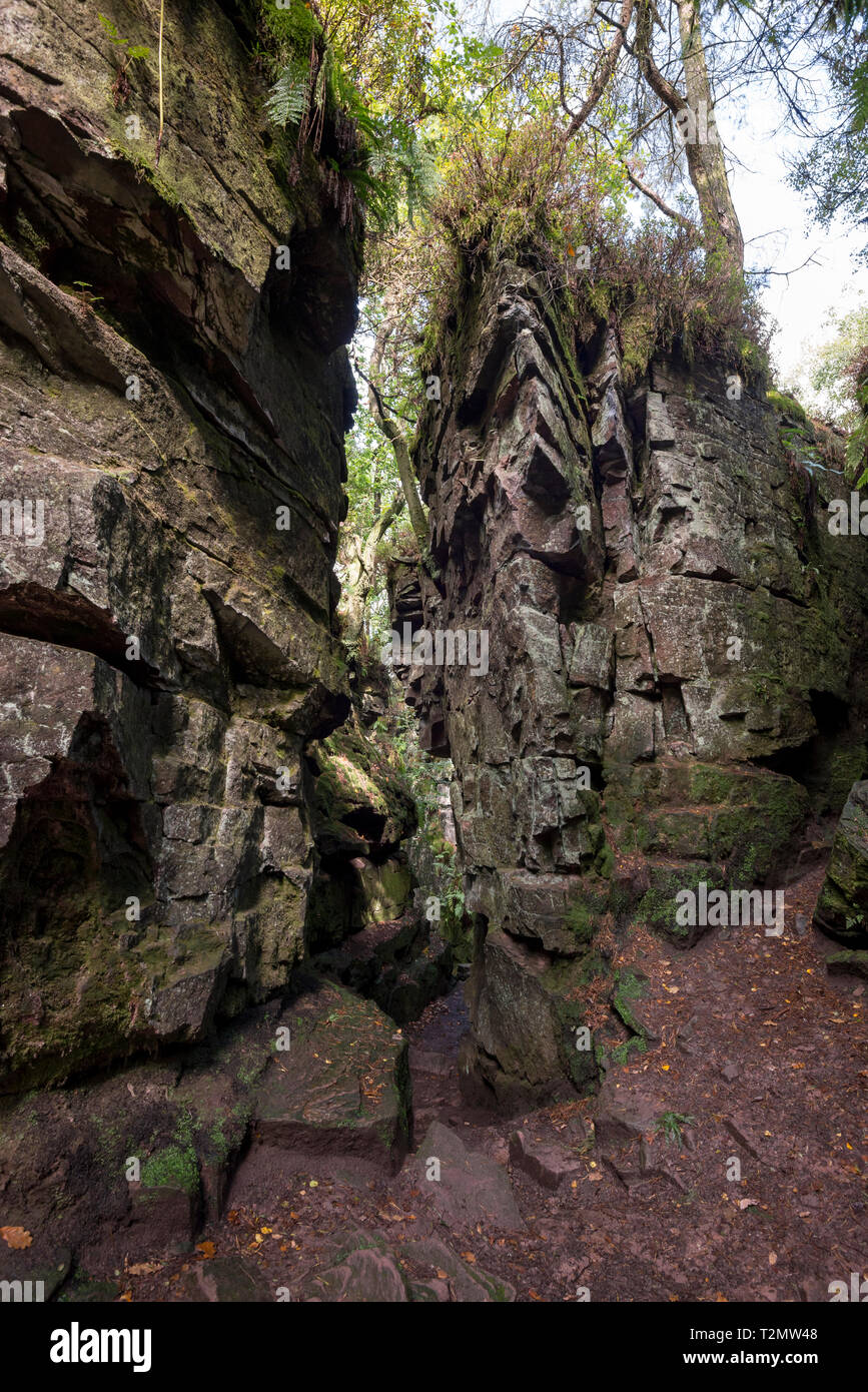 The mysterious rocky chasm of Luds Church near Gradbach in ...