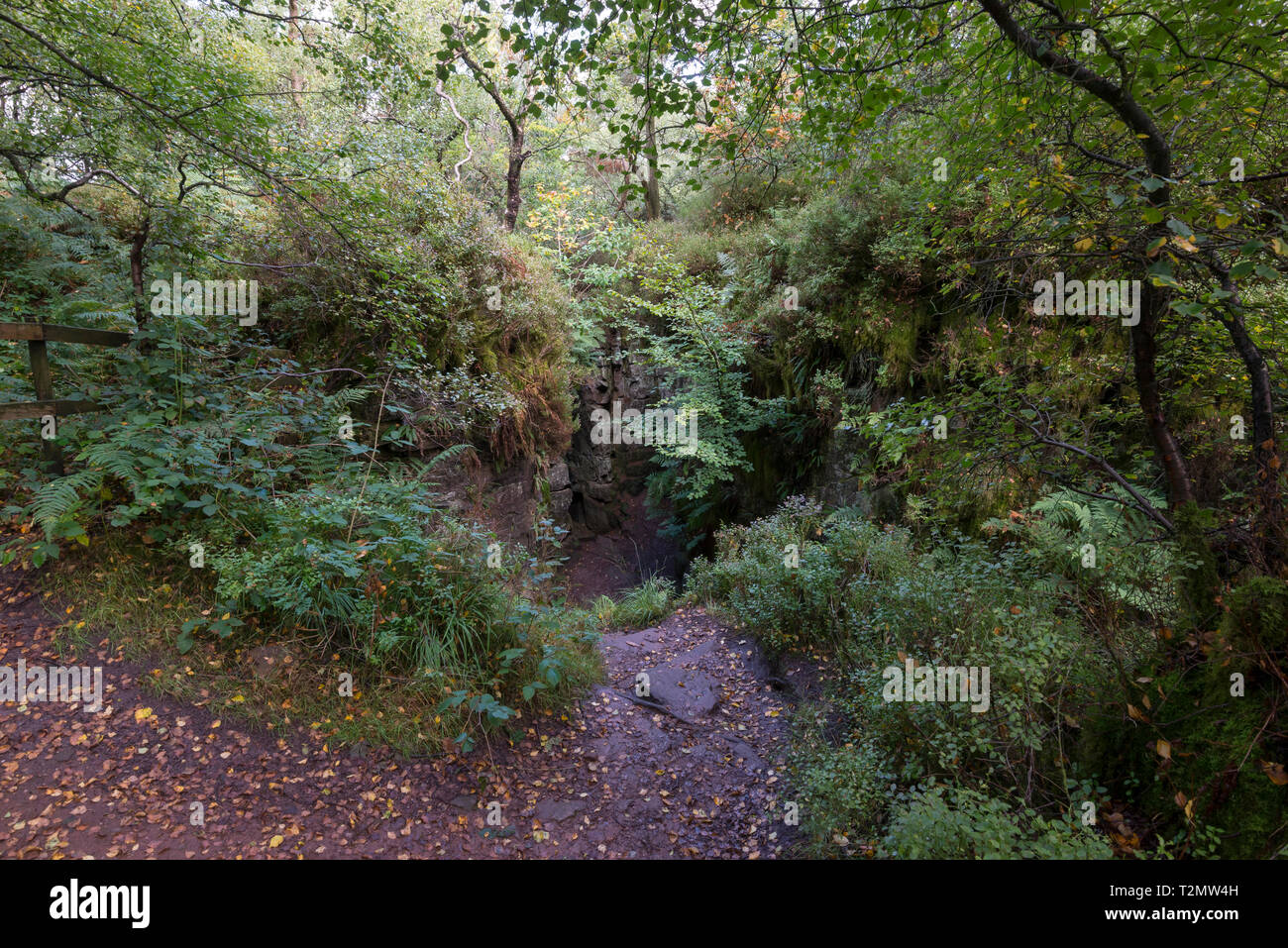 Entrance to the rocky chasm of Luds Church near Gradbach, Staffordshire ...
