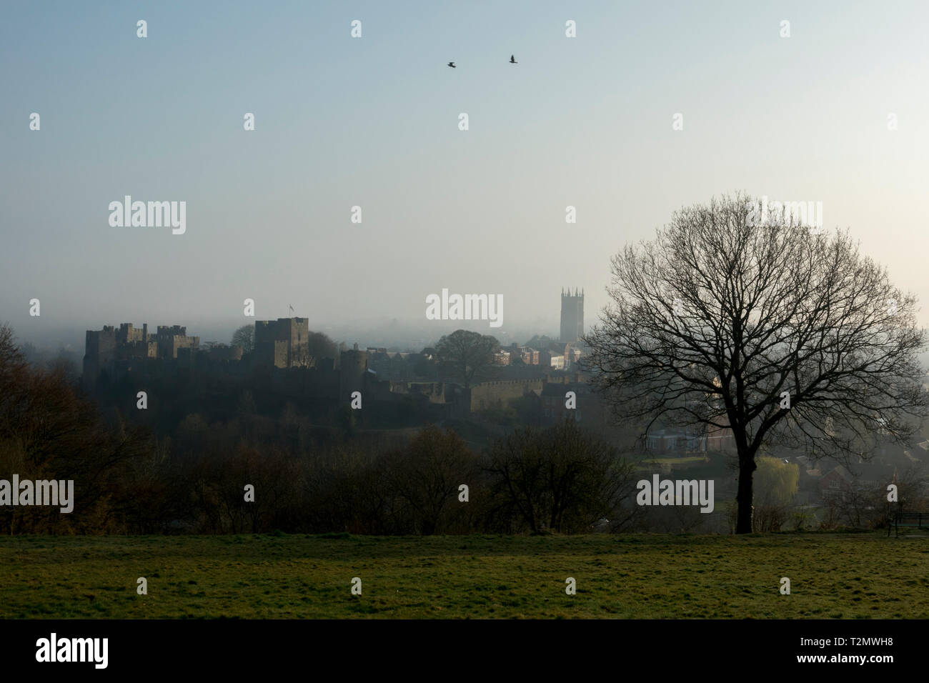 Whitcliffe common ludlow hi-res stock photography and images - Alamy