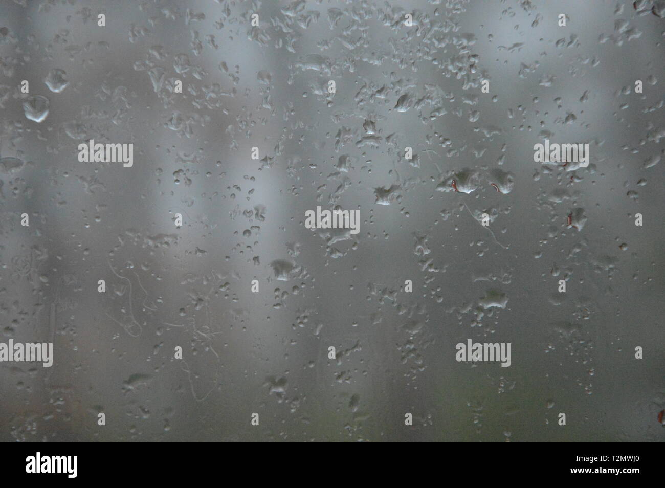 Rain drops on the window with forest background Stock Photo - Alamy
