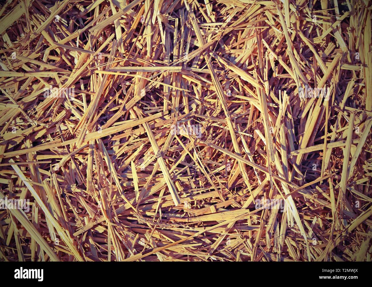 background of straw and dry hay in the stable with vintage toned effect ...
