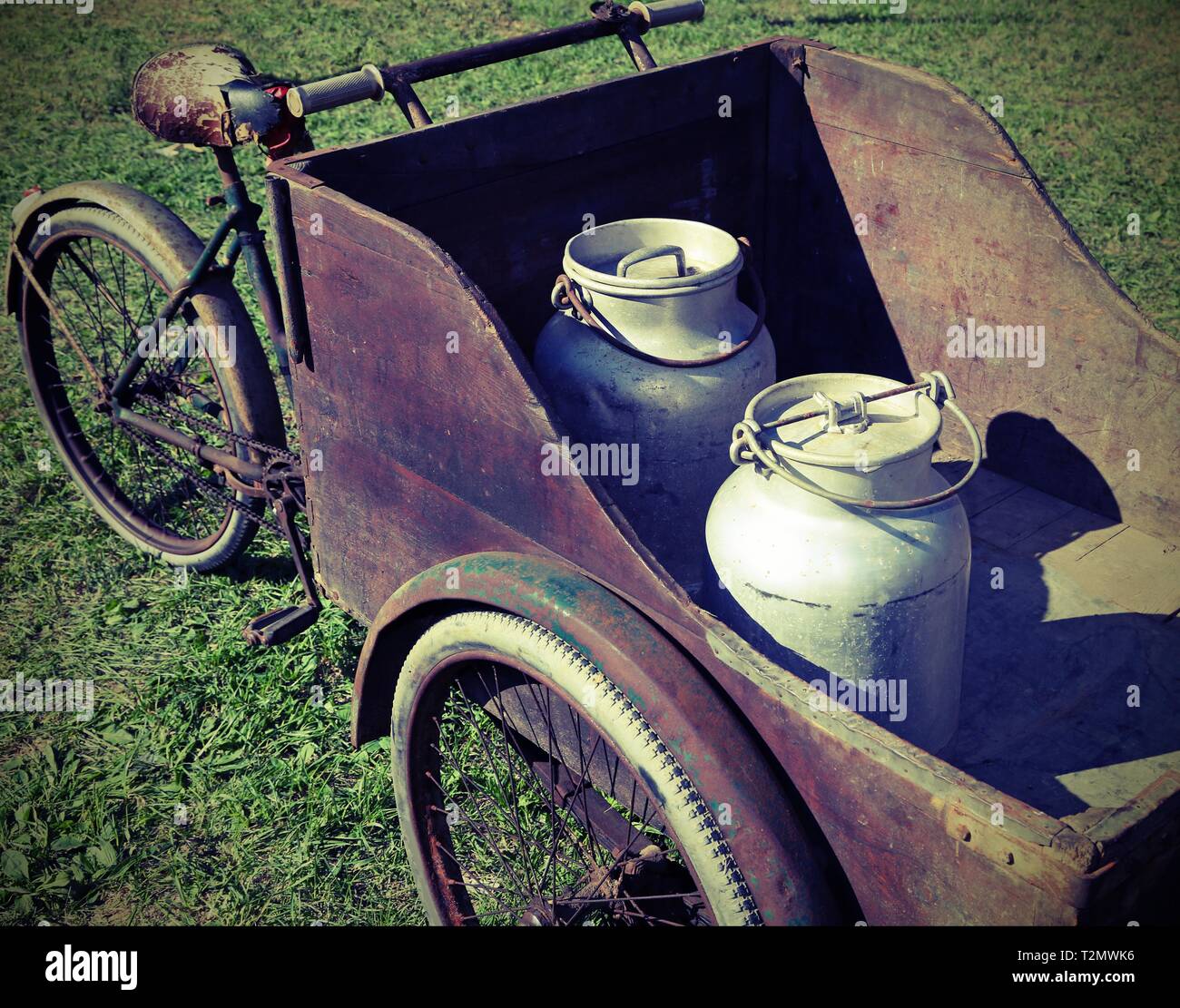 cart with old bicycle to transport the milk just leavened from the farm ...