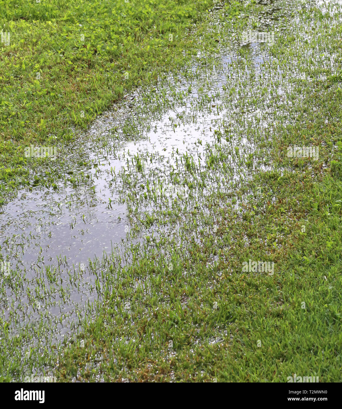 Wet damp moist soil hi-res stock photography and images - Alamy