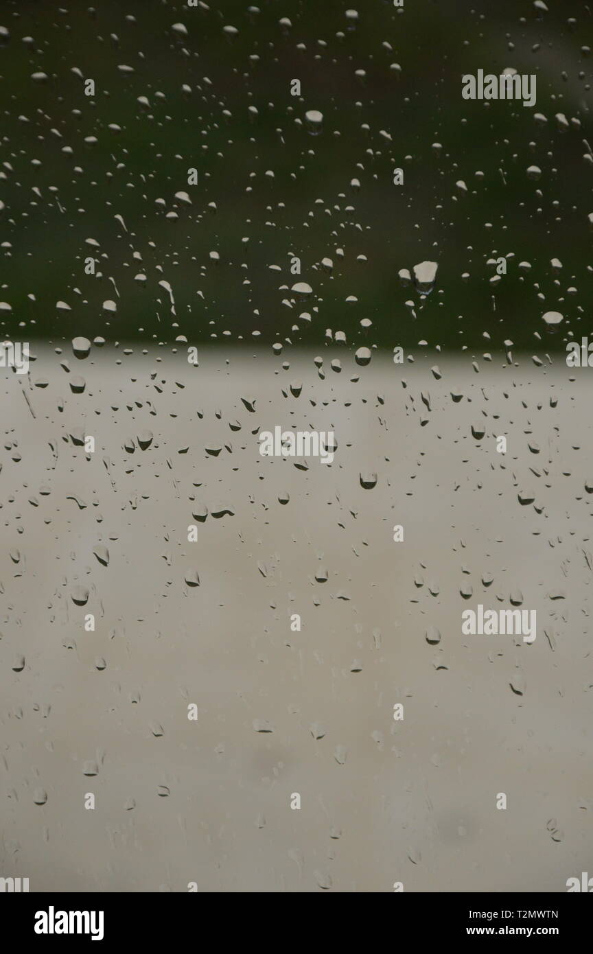 Rain drops on the window with forest background Stock Photo - Alamy