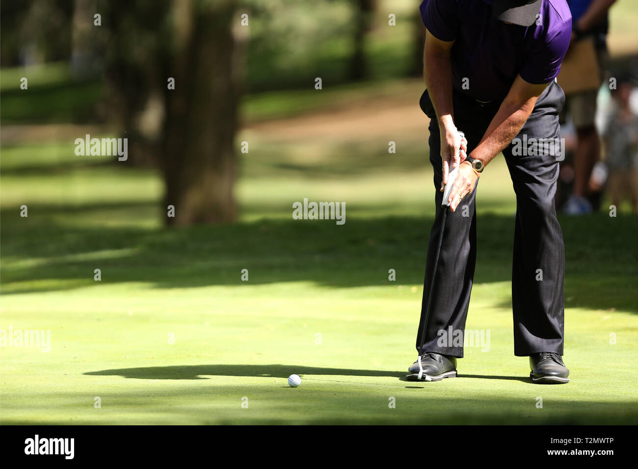 Golf player stick hi-res stock photography and images - Alamy