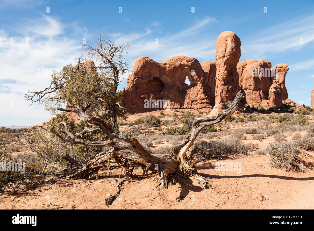Double Arches in Arches National Park, USA. This double arches is ...