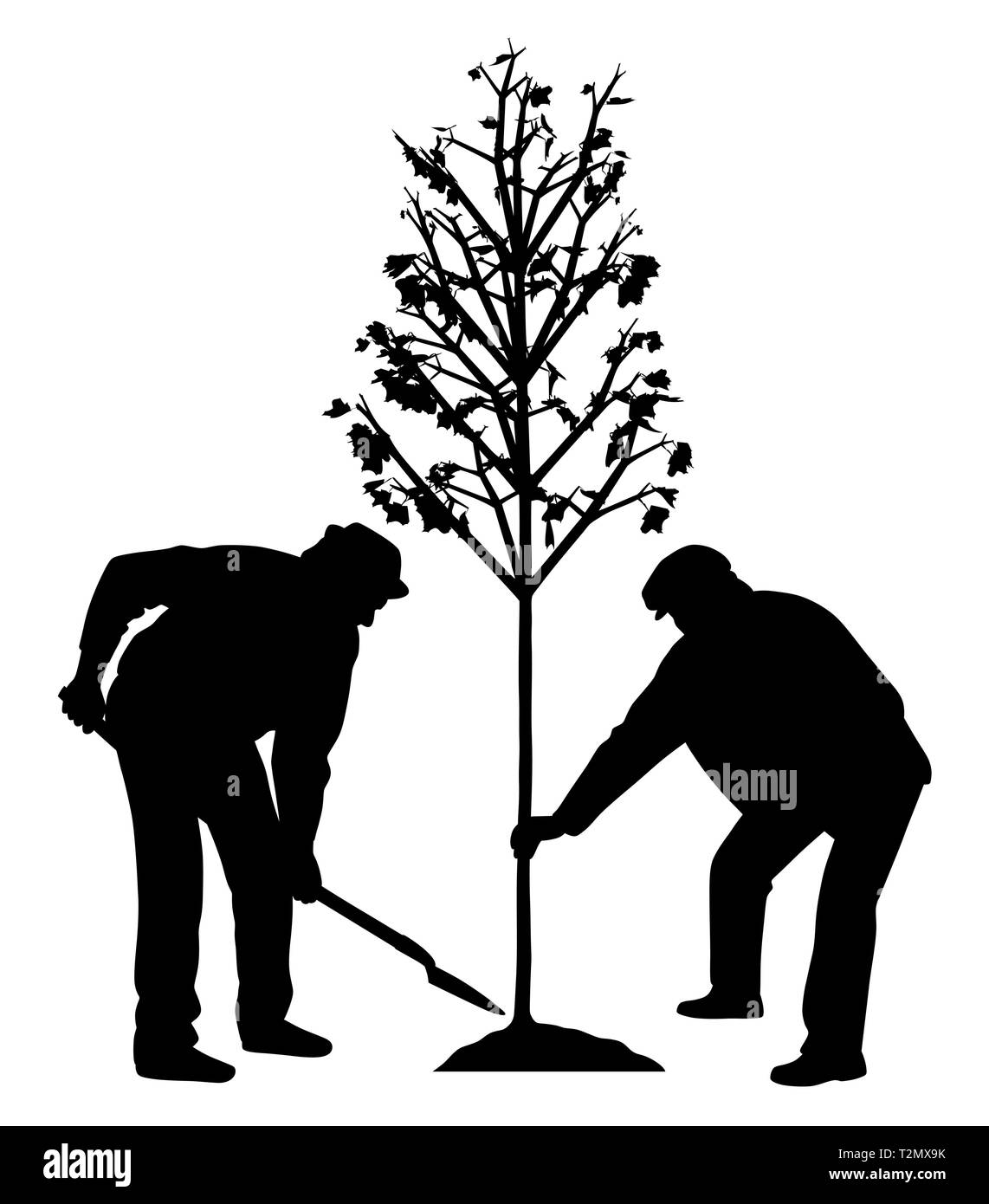Two men planting a tree. In EPS vector file tree and worker on the ...