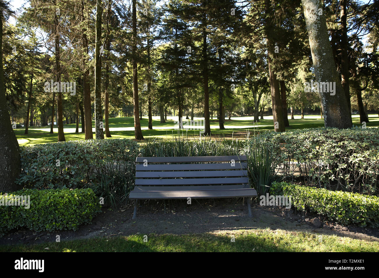 lonely bench in a park Stock Photo - Alamy