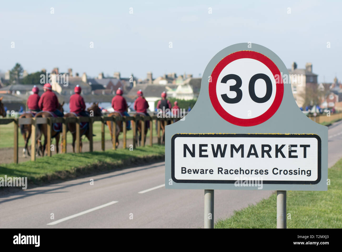 30 mile per hour road sign with horse waring and the town of Newmarket ...