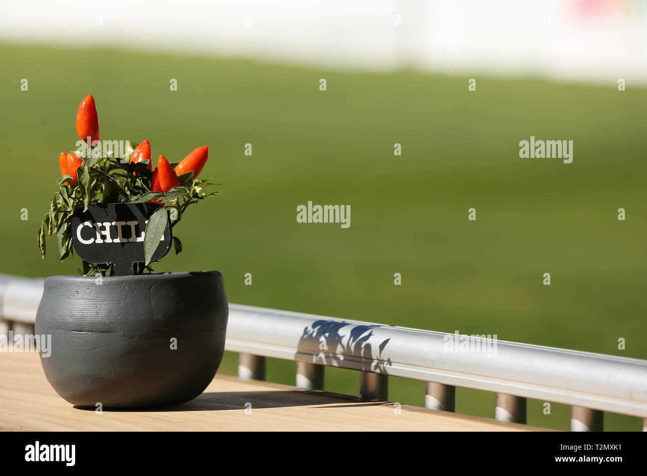 red mexican chilli Stock Photo - Alamy