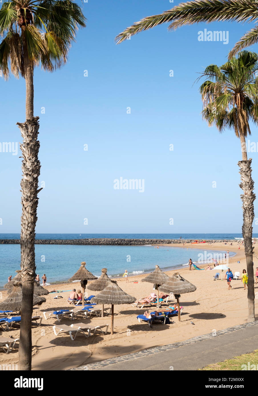 Costa adeje beach tenerife hi-res stock photography and images - Alamy