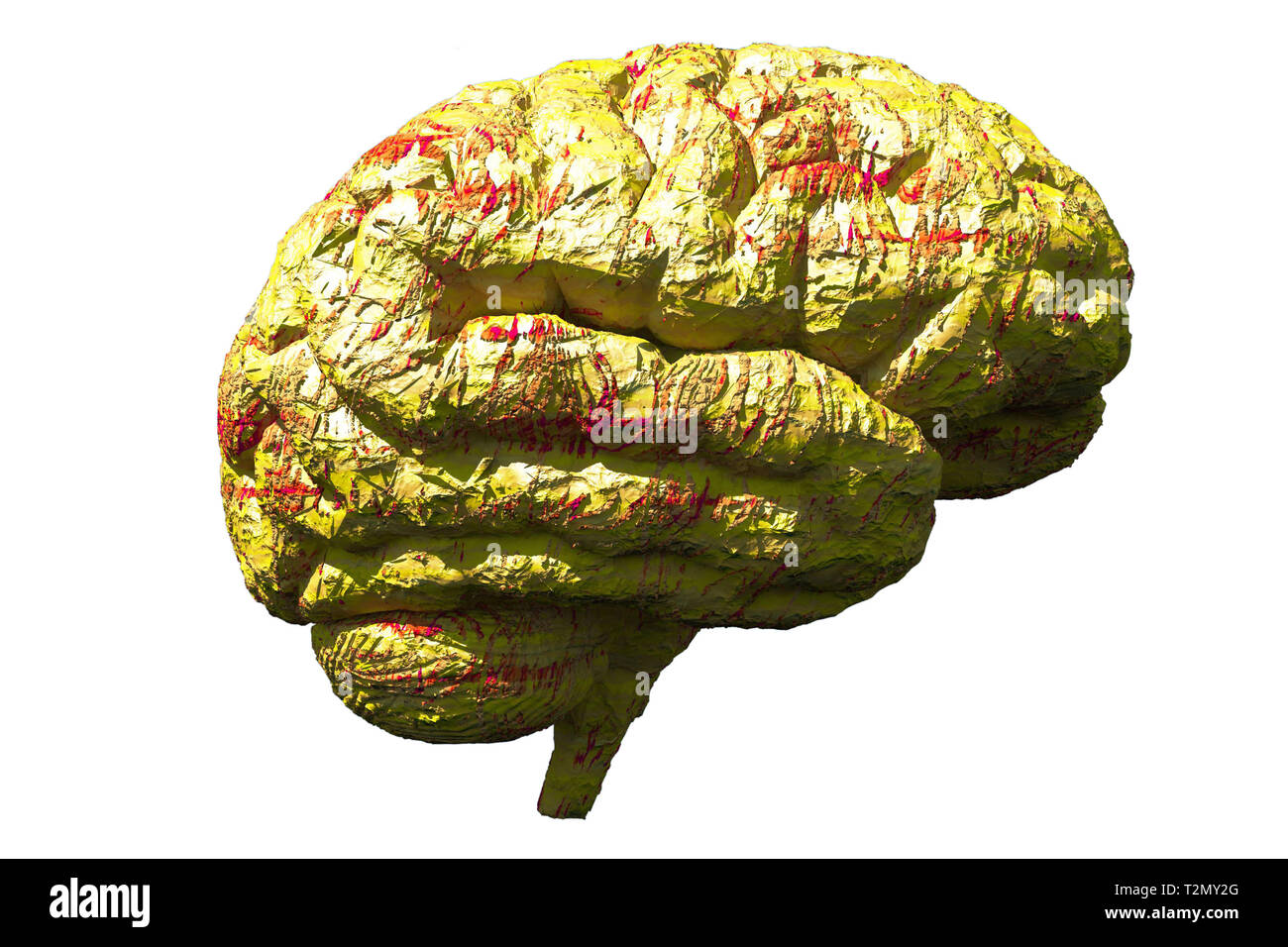 Human brain in vivid colors Stock Photo - Alamy