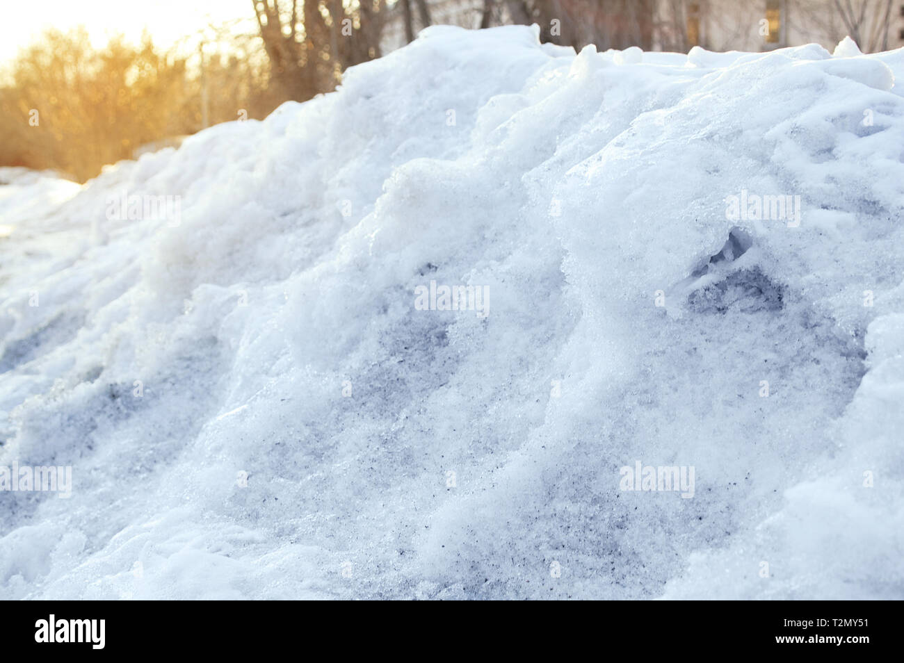 Spring. Melting snow drift snow. Close-up Stock Photo - Alamy