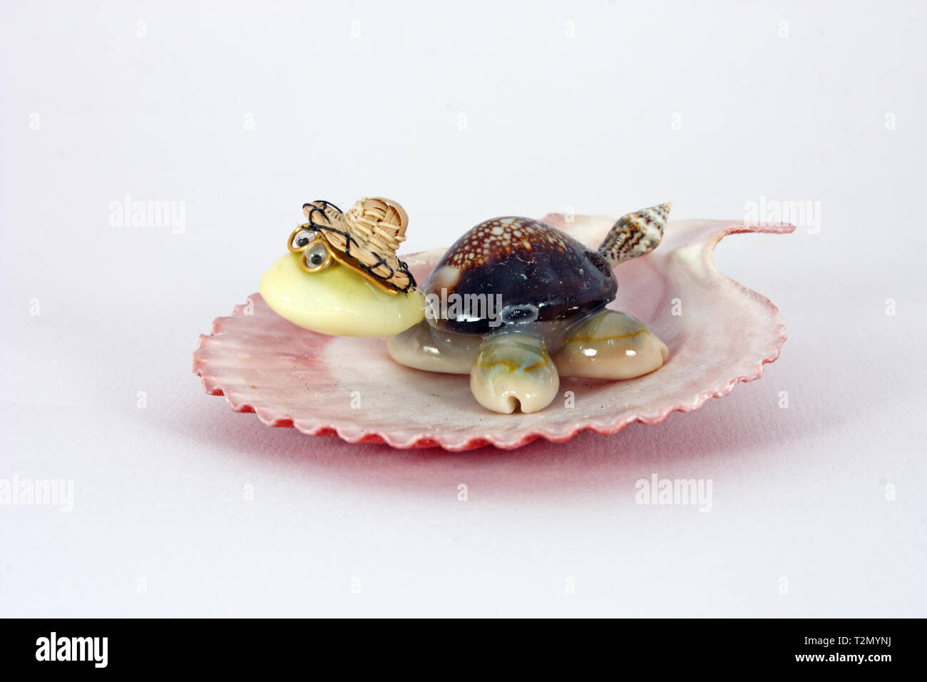 Little turtle made of shells, souvenir from vacation Stock Photo - Alamy