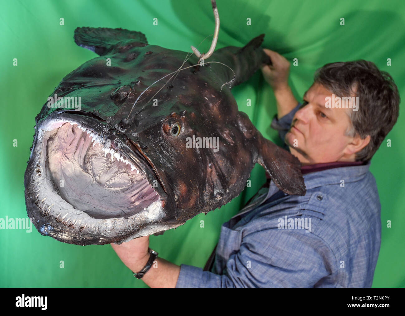 02 April 2019, Brandenburg, Trebus: Thomas Winkler, taxidermist, from ...