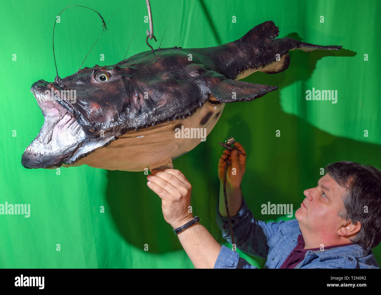 02 April 2019, Brandenburg, Trebus: Thomas Winkler, taxidermist, from ...