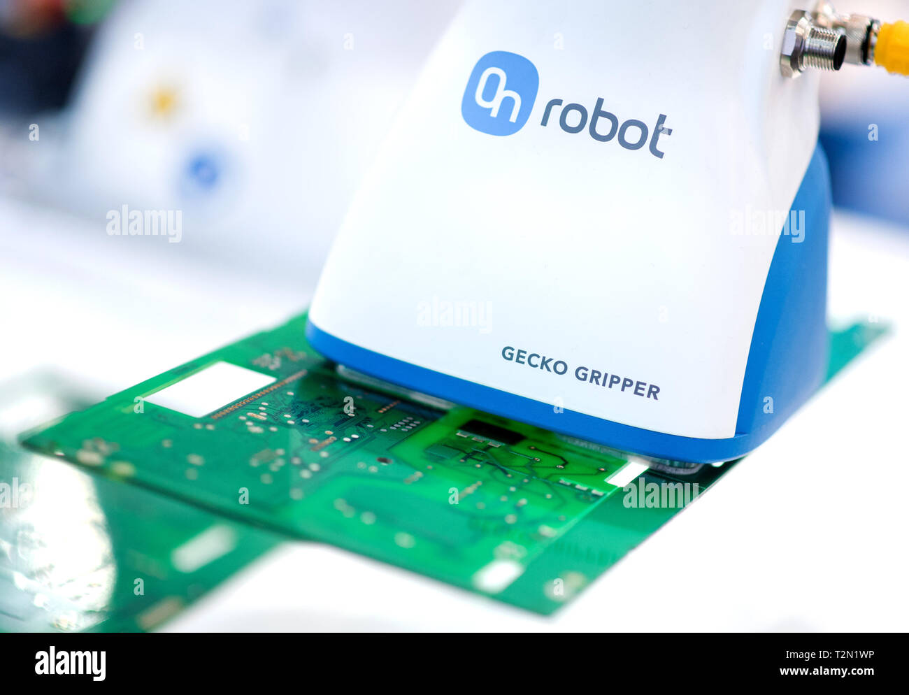 Gecko gripper hi-res stock photography and images - Alamy