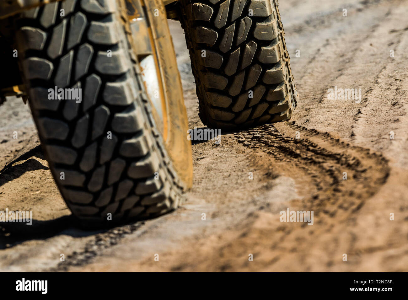 Mogui hi-res stock photography and images - Alamy