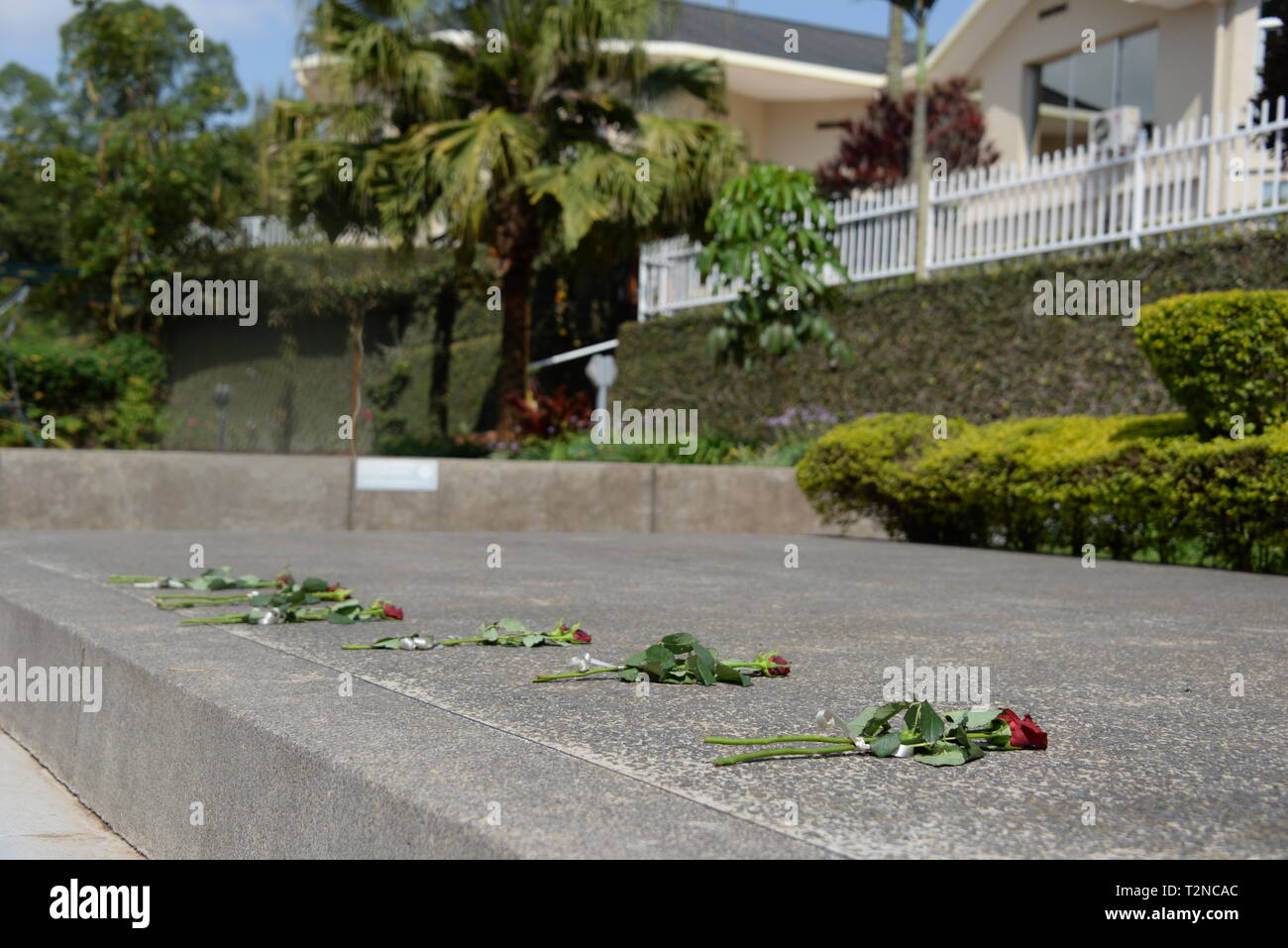 Kigali, Rwanda. 31st Mar, 2019. Roses lie on the ground in the genocide ...