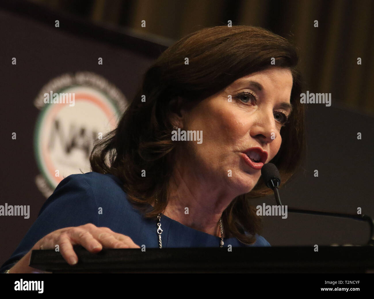 New York City, New York, USA. 3rd Apr, 2019. KATHY HOCHUL New York ...