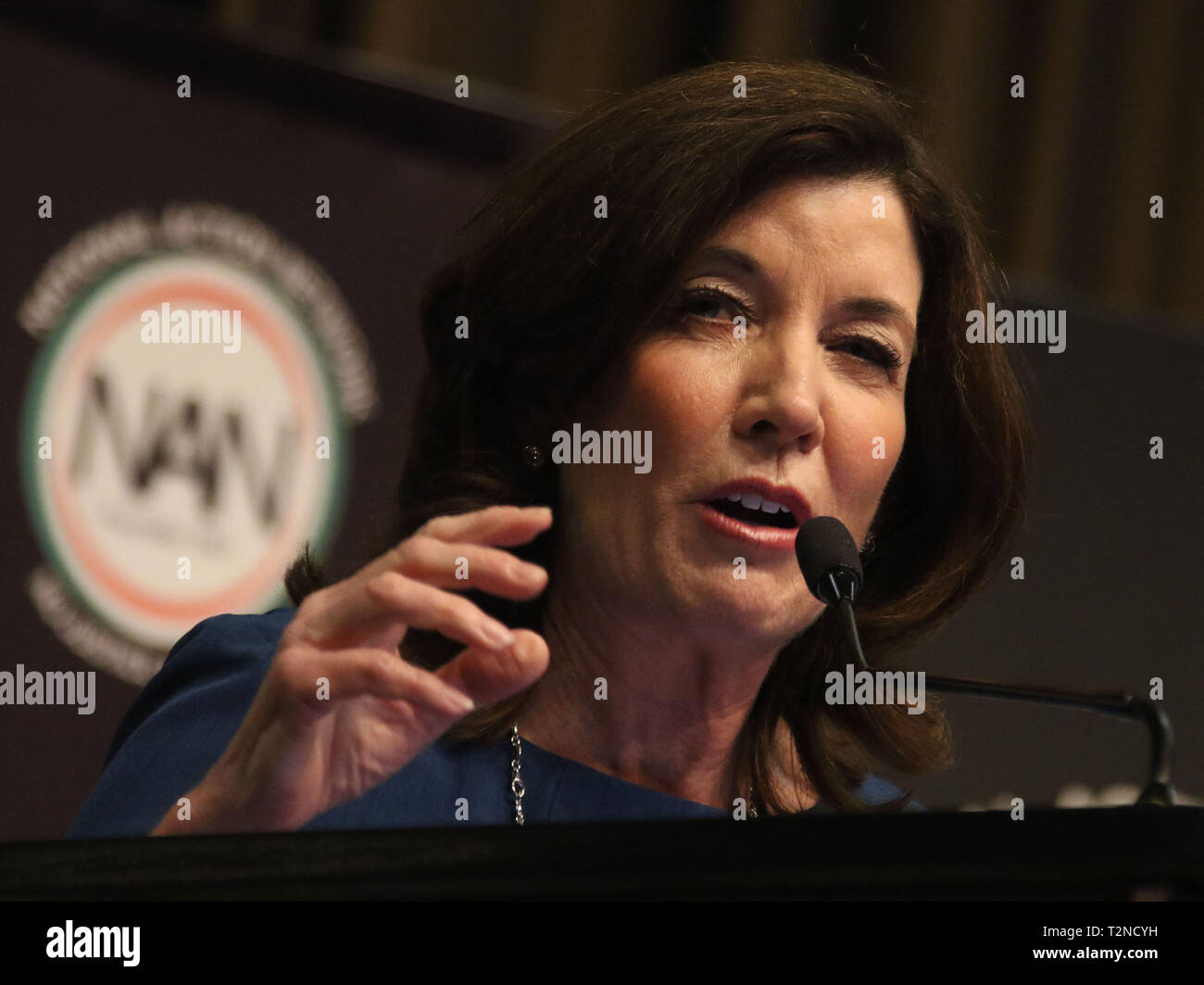 New York City, New York, USA. 3rd Apr, 2019. KATHY HOCHUL New York ...