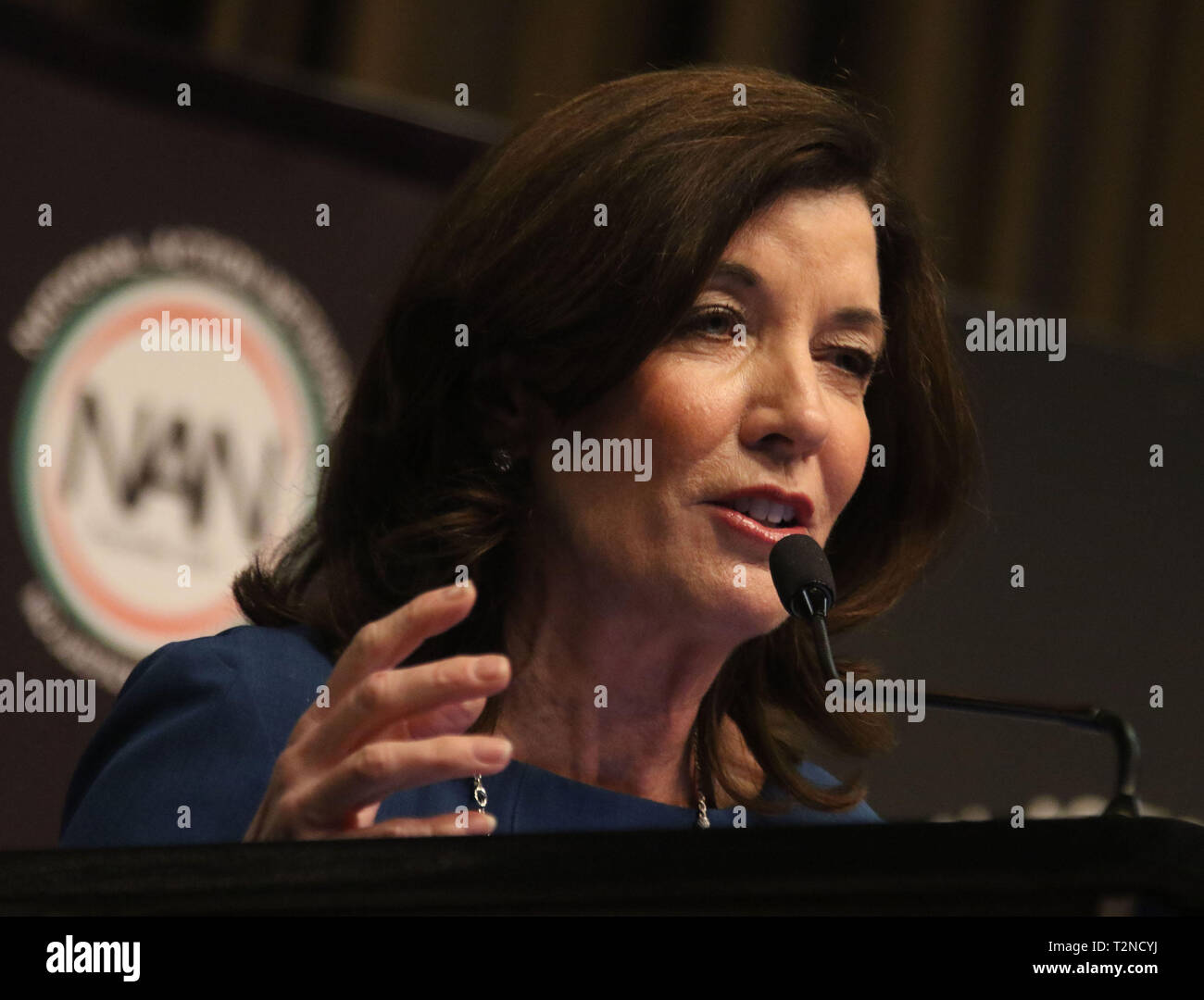 New York City, New York, USA. 3rd Apr, 2019. KATHY HOCHUL New York ...