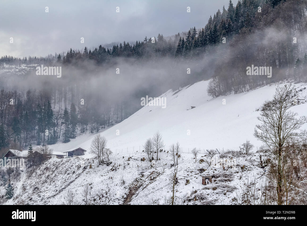 scenery around a lake named Hintersee in Bavaria at winter time Stock ...