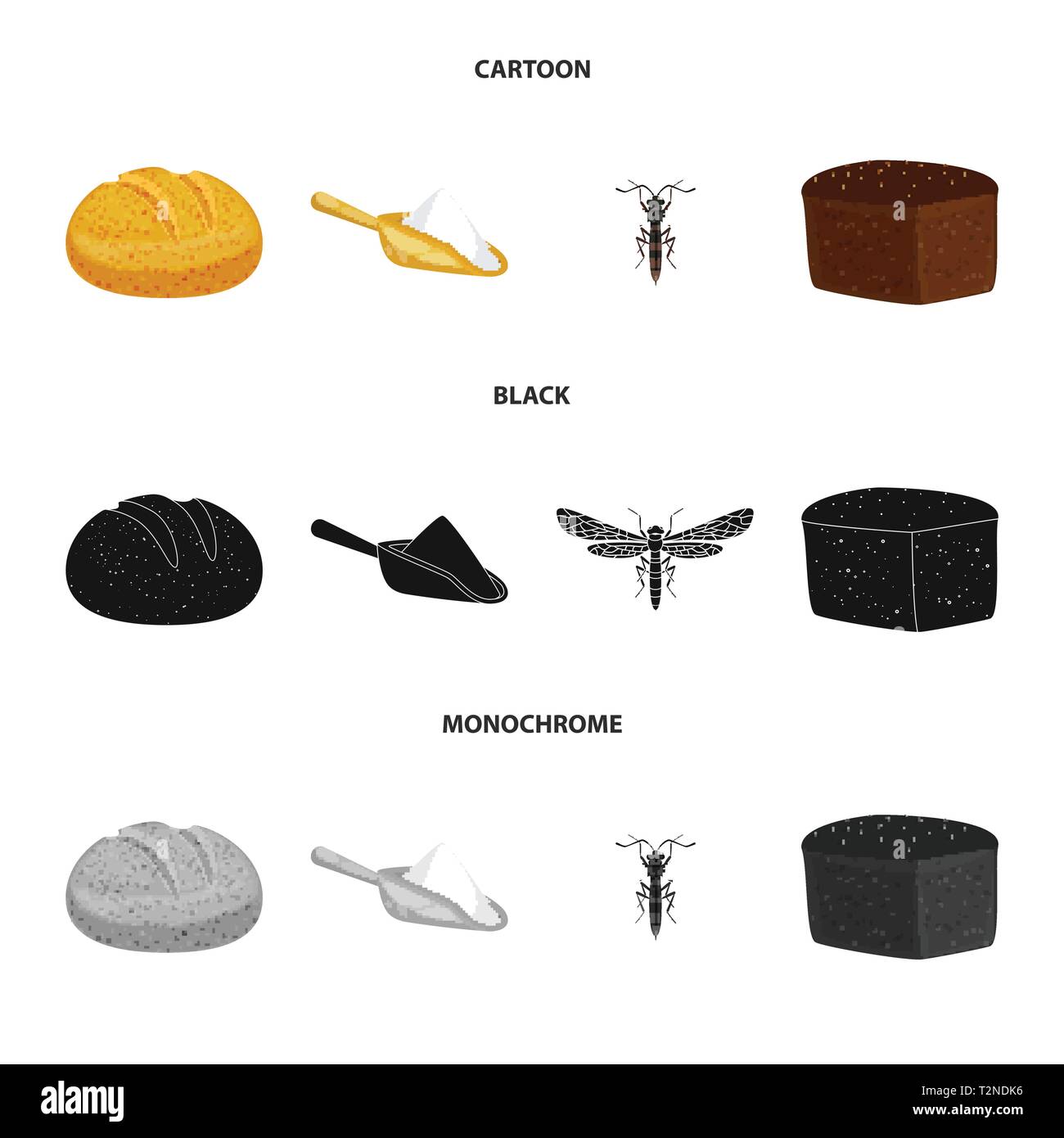 bread,flour,fly,meal,insect,scoop,pest,brown,food,control,breakfast,oat ...