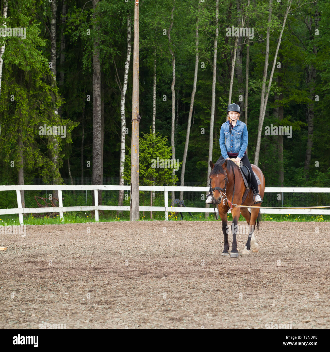 Horse riding lessons, girl rides brown horse on riding field, square ...