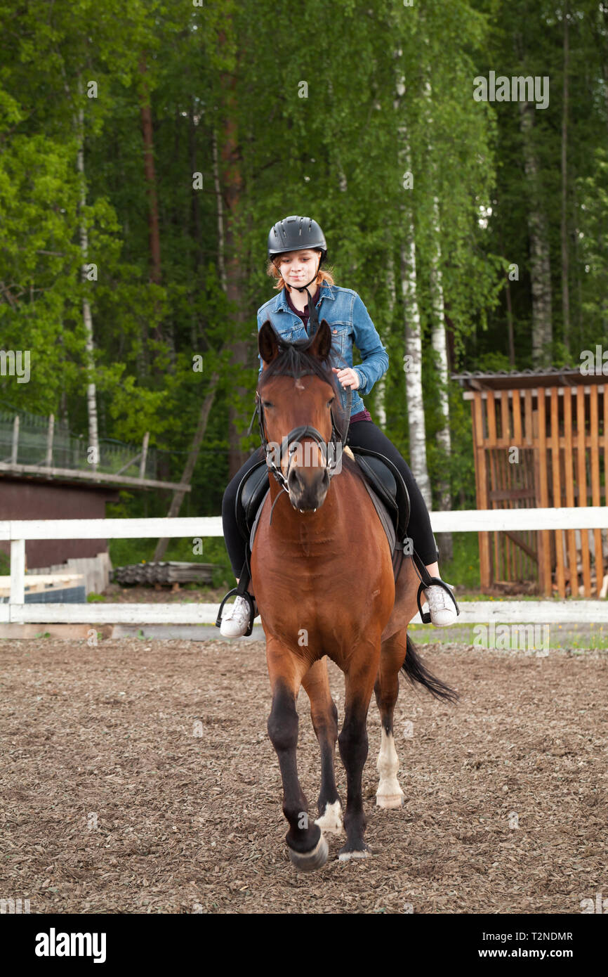 Riding lessons, teenage Caucasian girl rides a horse on riding field ...