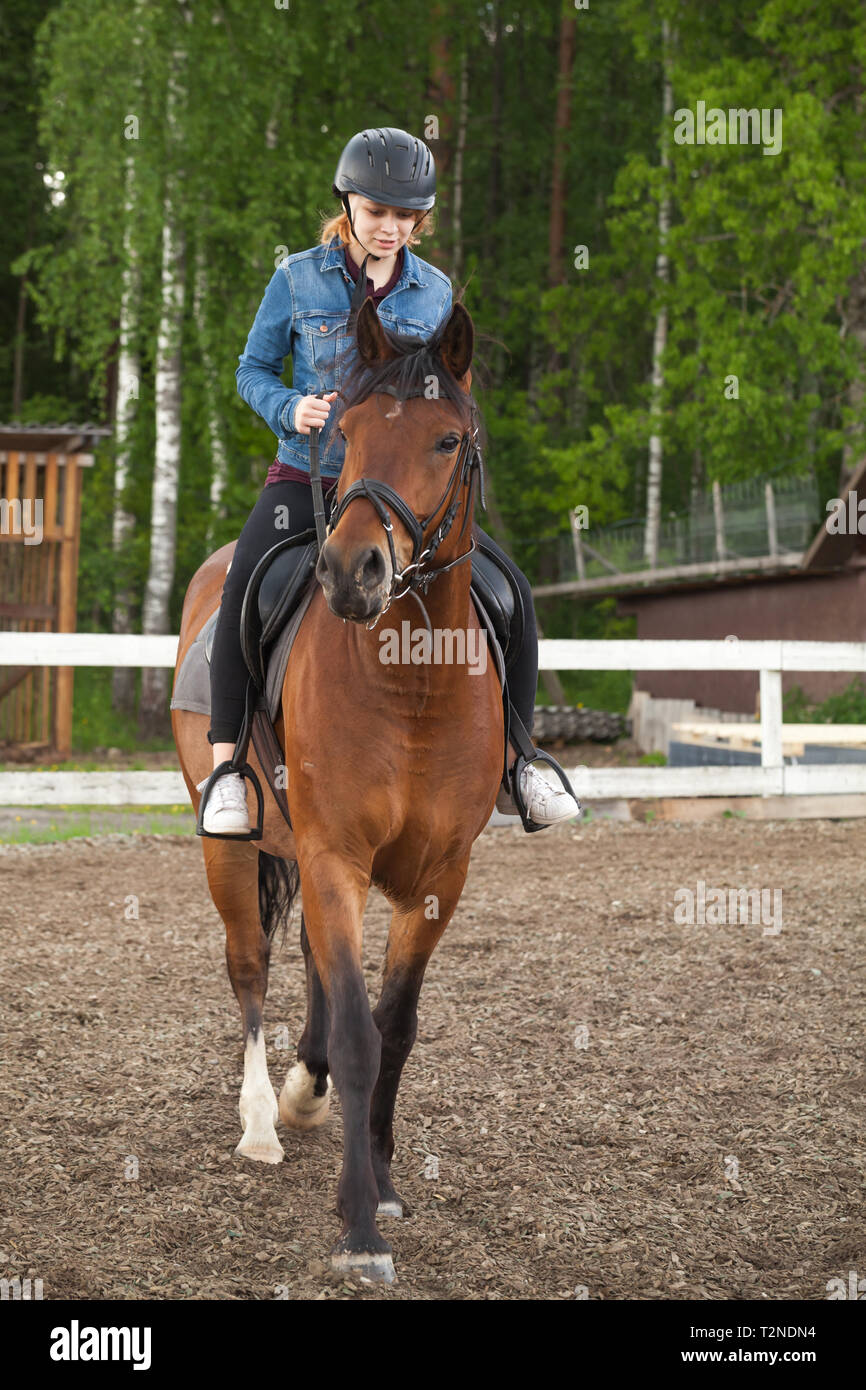 Beginner riding lessons, teenage girl rides a horse on riding field ...