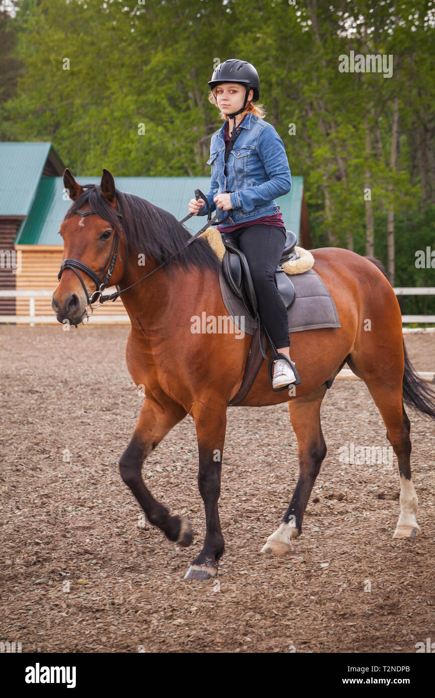 Beginner riding lessons, teenage girl rides brown horse on riding field ...
