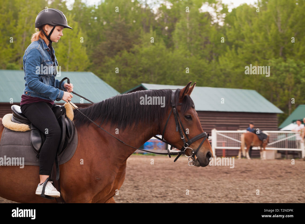 Riding lessons, teenage girl rides brown horse on riding field, close ...