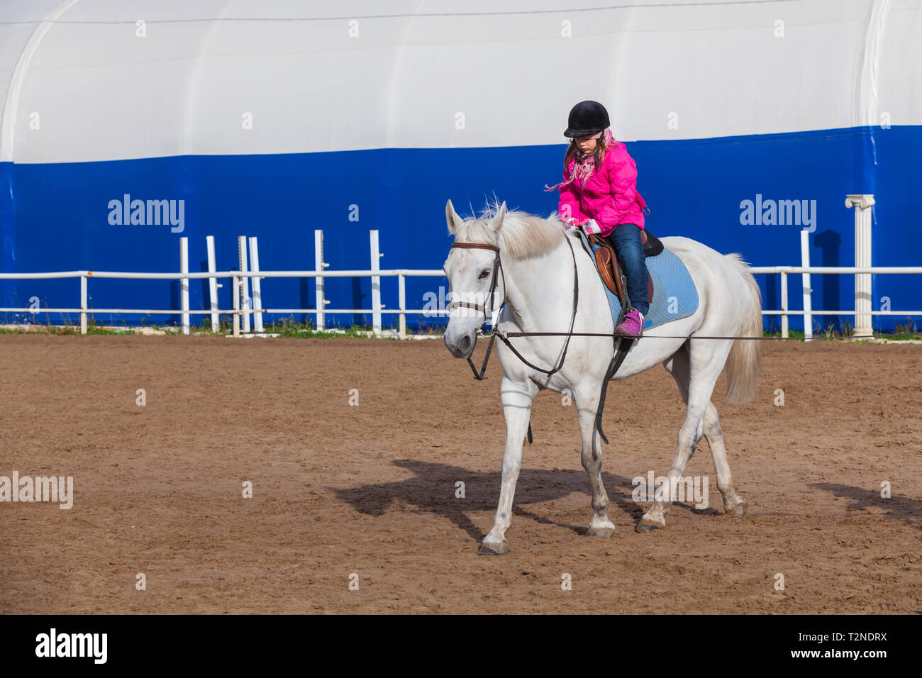 Beginner equestrian hi-res stock photography and images - Alamy