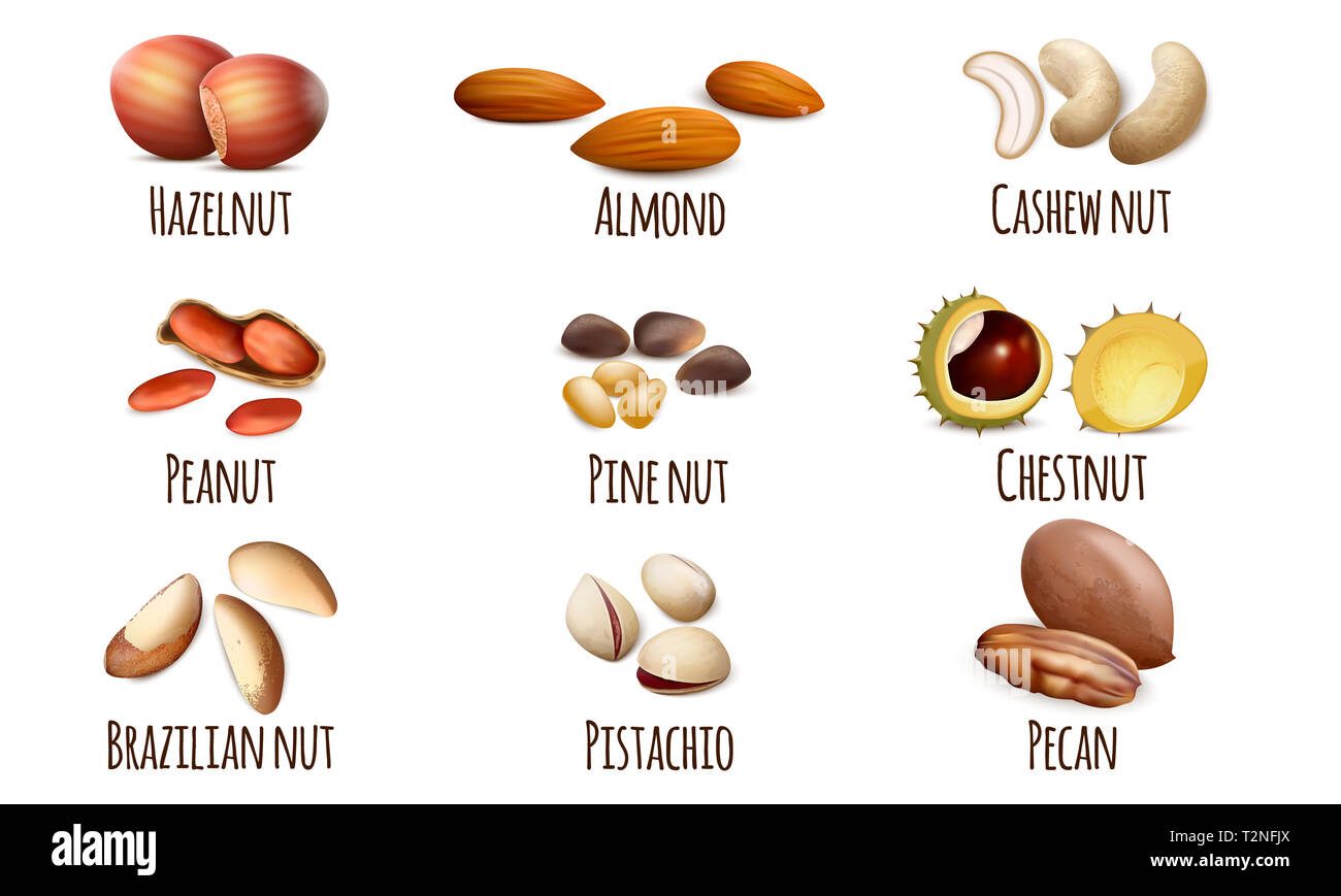 Nut icons set. Realistic set of nut vector icons for web design ...