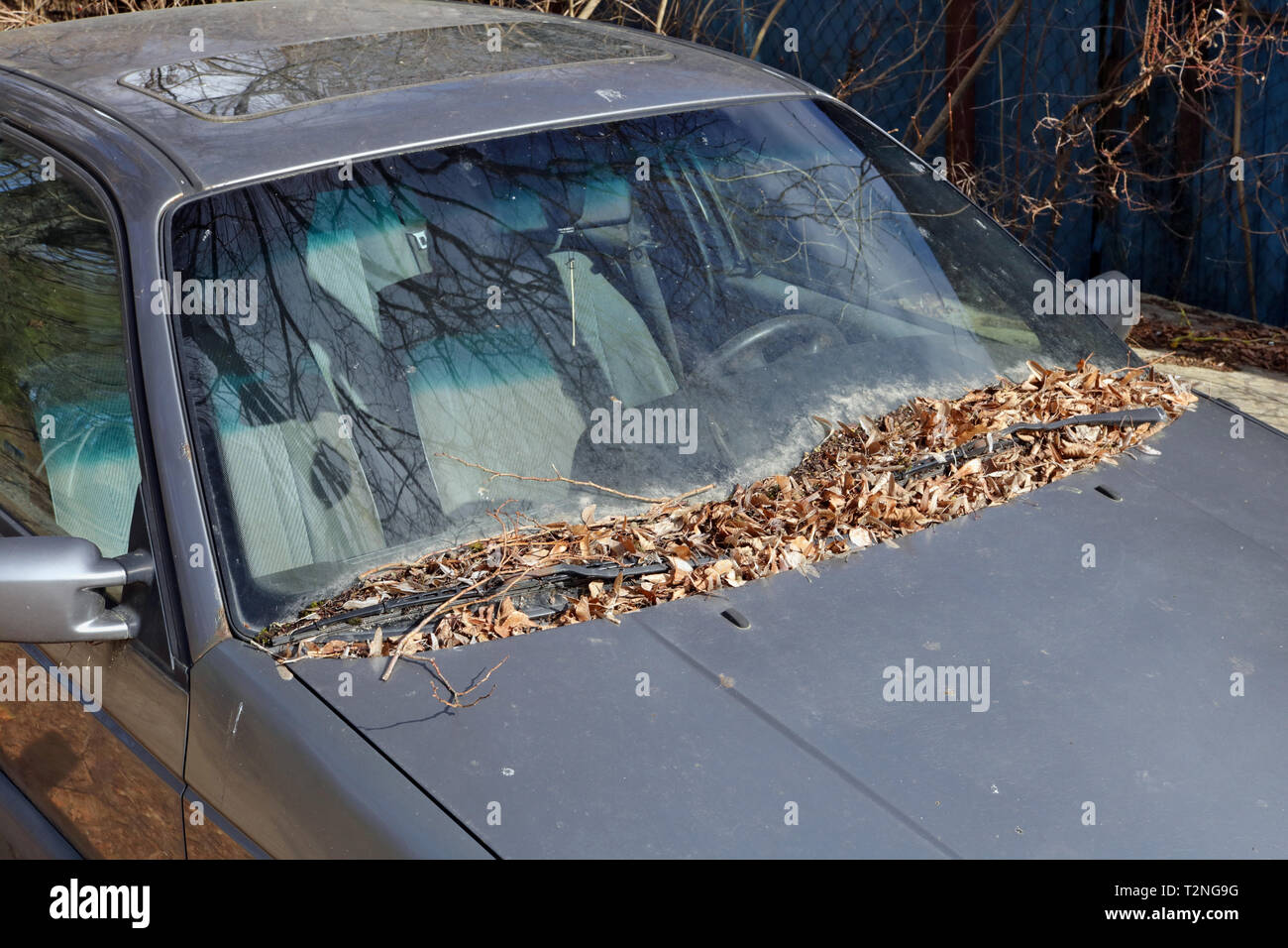 Smashed hood hi-res stock photography and images - Alamy