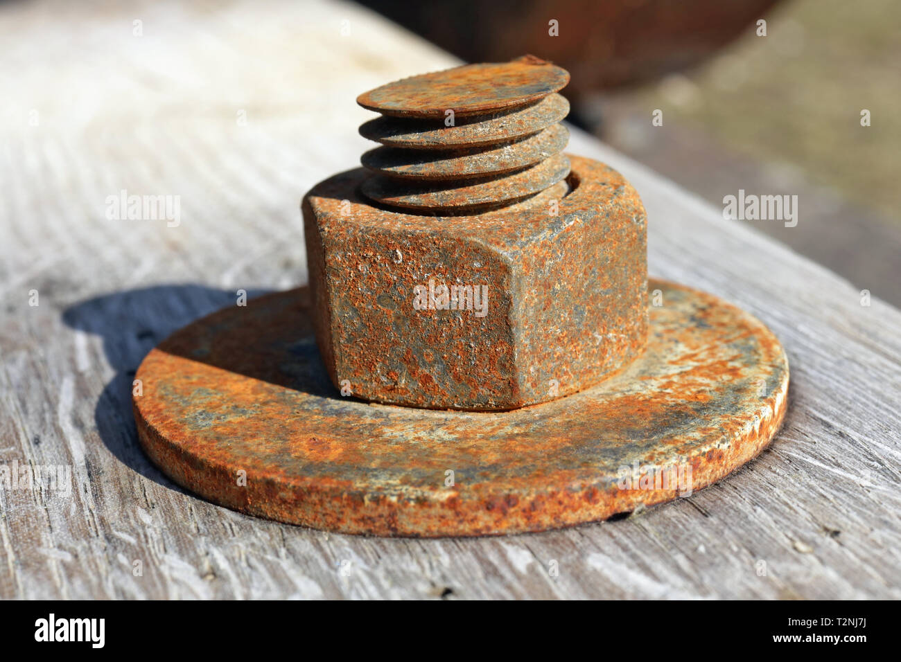 Large rusty nut holds wood aged planks together background. Central ...