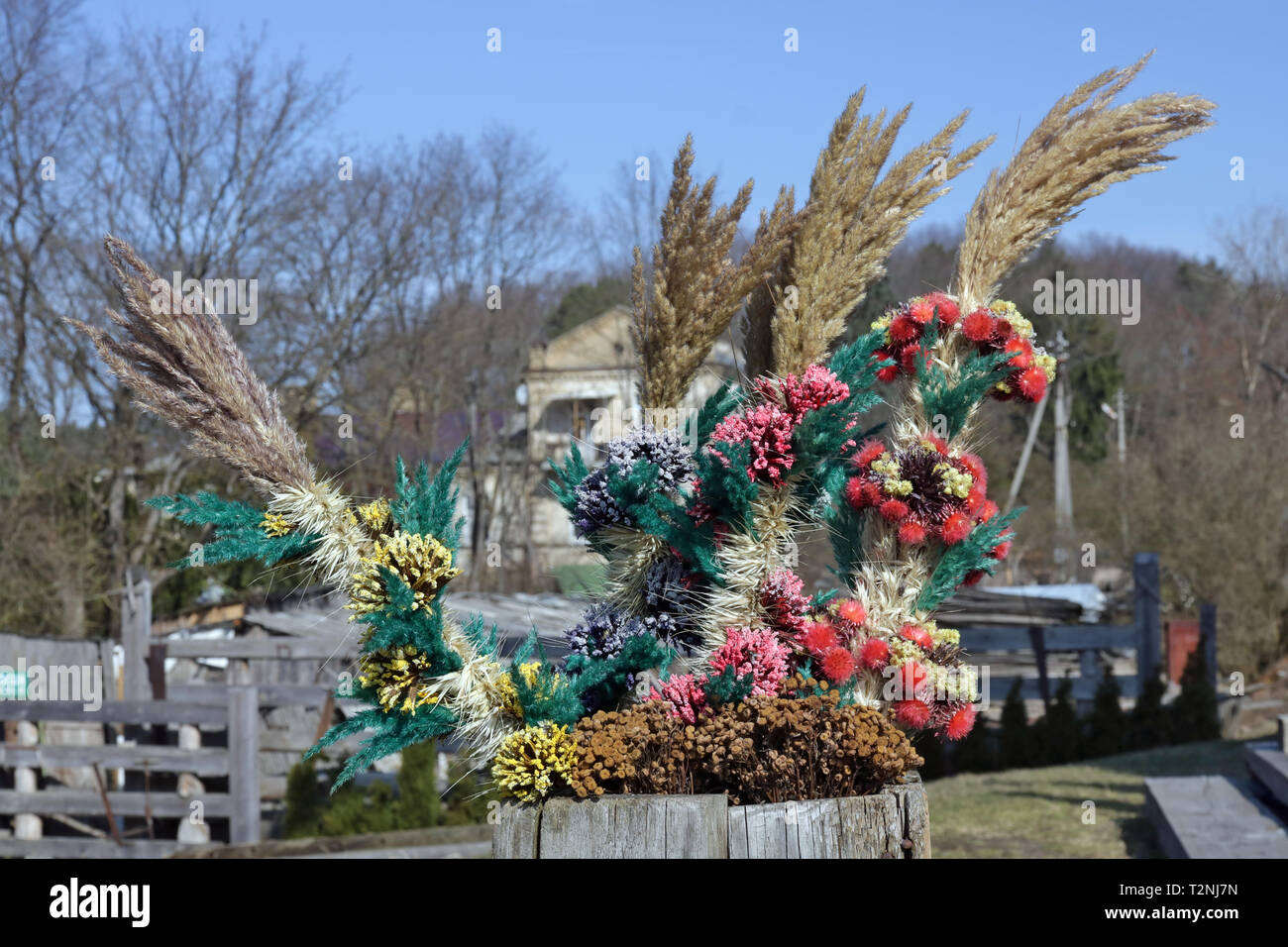 Lithuanian flowers hi-res stock photography and images - Alamy