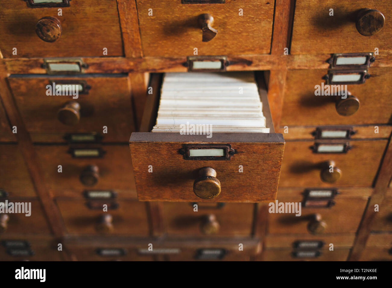 File catalog box. Concept for database, archive, library Stock Photo ...