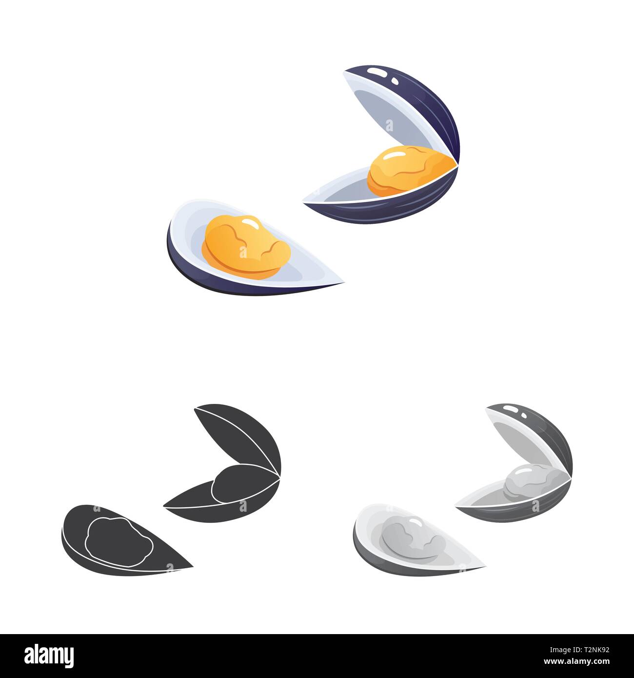 mussel,clam,shell,oyster,fish,jelly,delicacy,fresh,restaurant,market ...