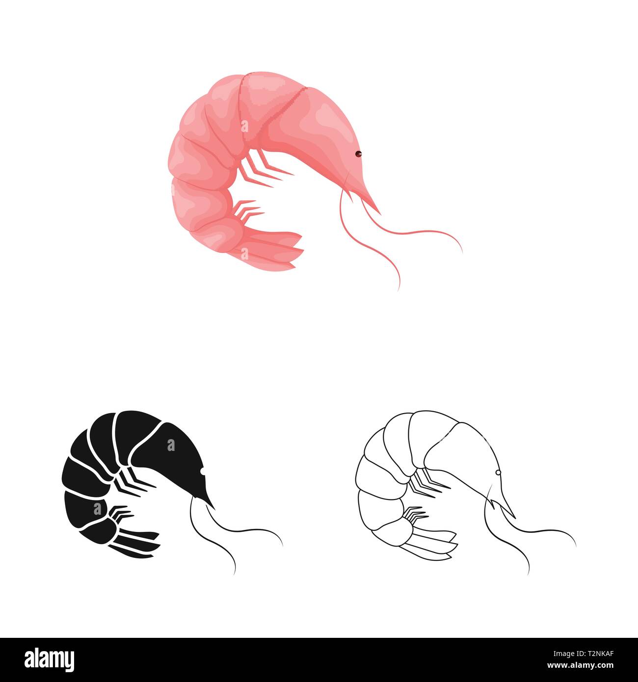 Prawn creature boiled fresh Cut Out Stock Images & Pictures - Alamy