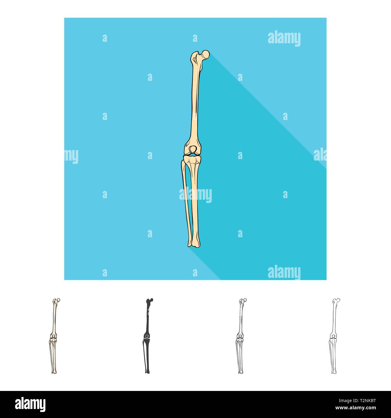 knee,joint,meniscus,body,foot,leg,surgery,injury,cartilage,motion ...