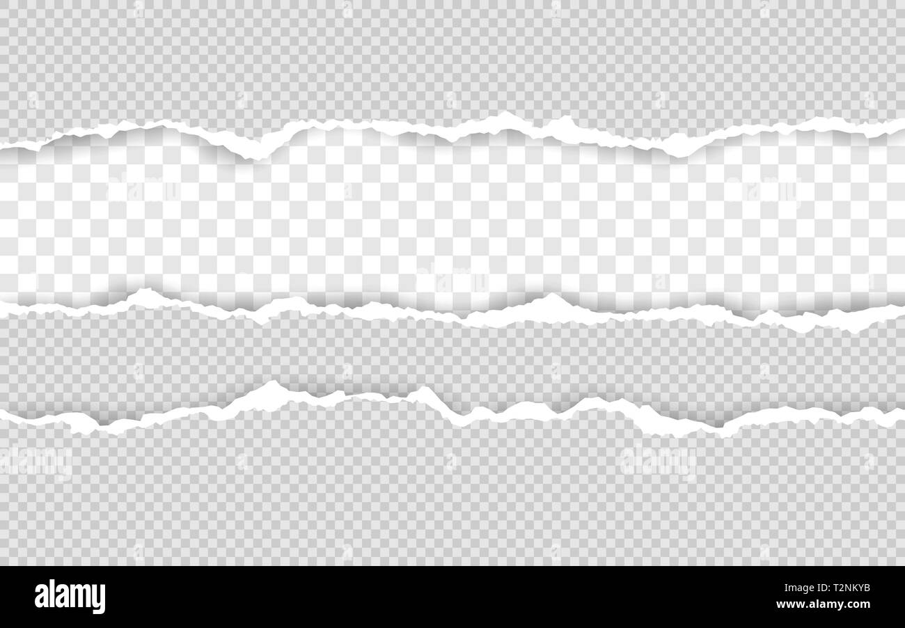 Horizontal torn paper edge. Ripped squared horizontal white paper ...