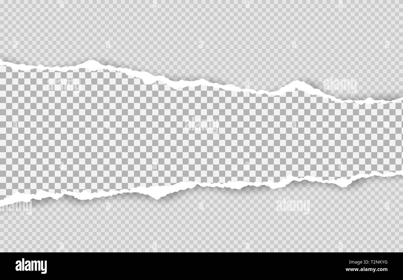 Horizontal torn paper edge. Ripped squared horizontal white paper ...