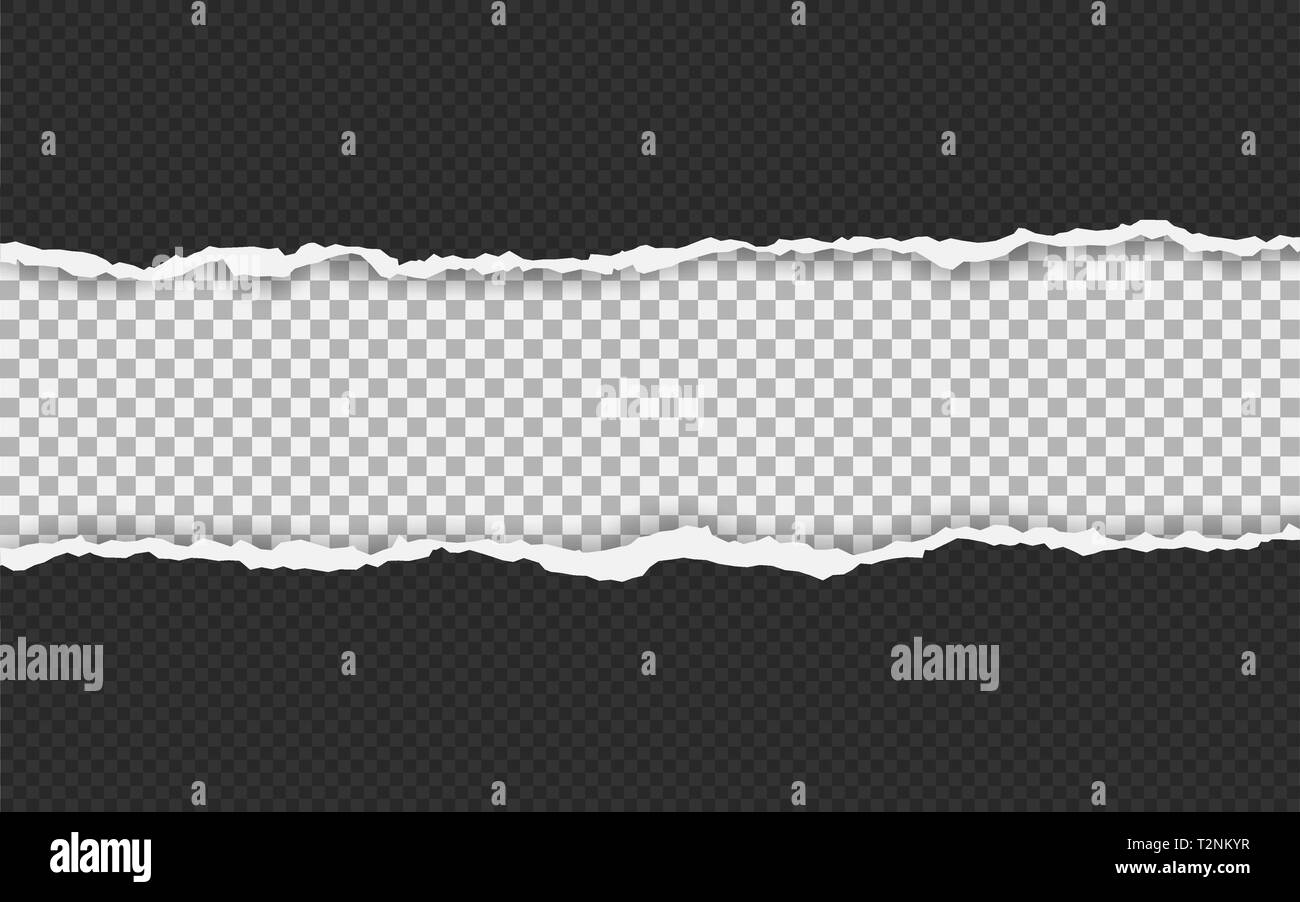 Horizontal torn paper edge. Ripped squared horizontal white paper ...