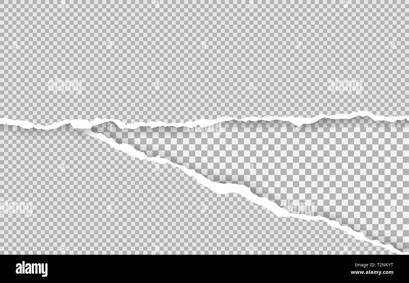 Horizontal torn paper edge. Ripped squared horizontal white paper ...