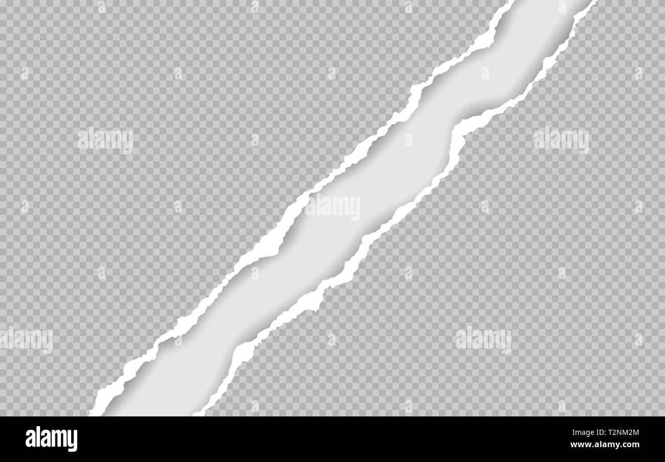 Torn paper edge. Torn paper stripes. Ripped squared horizontal paper ...