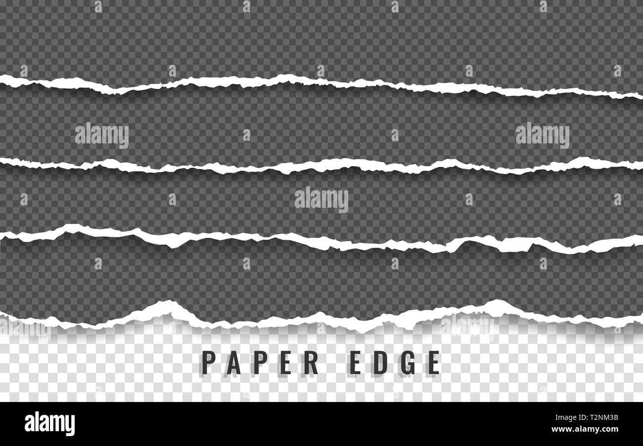 Torn paper edge. Torn paper stripes. Ripped squared horizontal paper ...